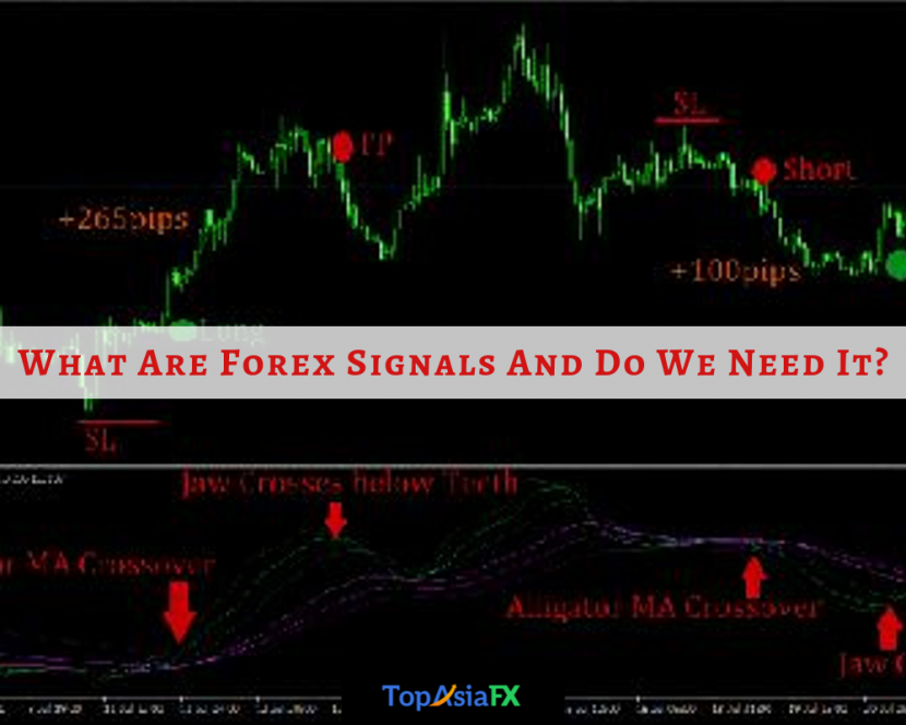 What Are Forex Signals And Do We Need It? – Data Science Society