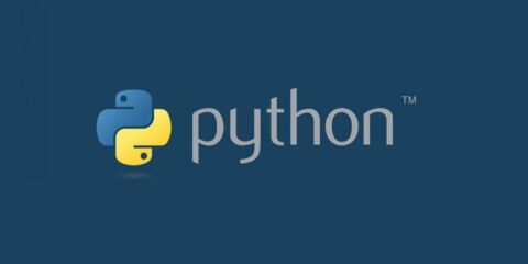 The Evolution and Impact of Python in Modern Programming – Data Science ...