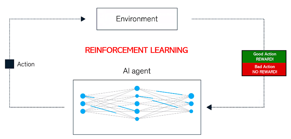 What are the basics of data science and why is it so important – Data Science Society