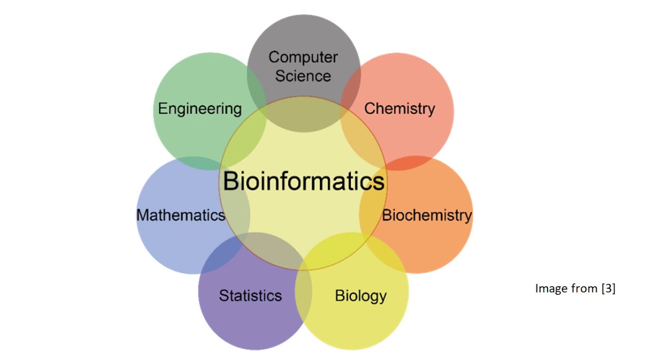Bioinformatics: Exploring the Power of Data in Biology – Data Science Society
