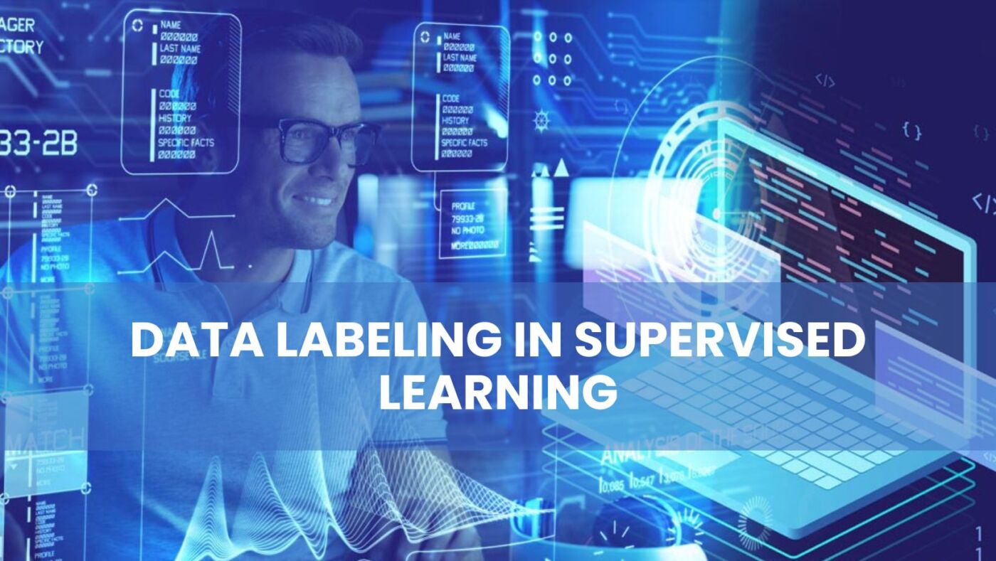 What You Need to Know About Data Labeling in Supervised Learning – Data Science Society
